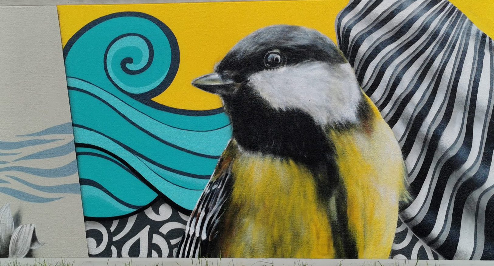 Dingo Babuschs Farbenreich